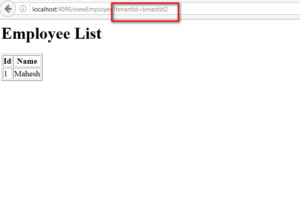 Spring MVC Hibernate Multi Tenancy Example - Java Developer Zone