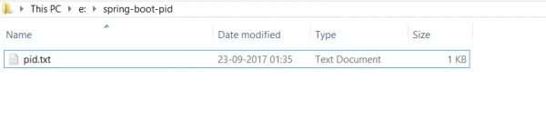 Spring boot ApplicationPidFileWriter Example – Process ID writer example – Java Developer Zone
