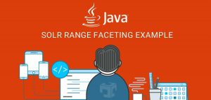 Solr Range Faceting Example – Java Developer Zone